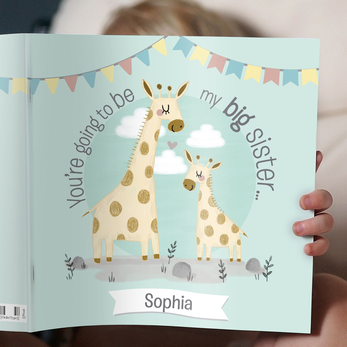 Personalised Big Brother/Sister Story Book – Little Gem Moments